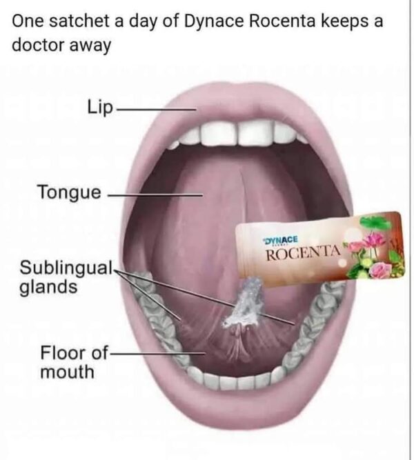 DYNACE Rocenta – Bomba Training